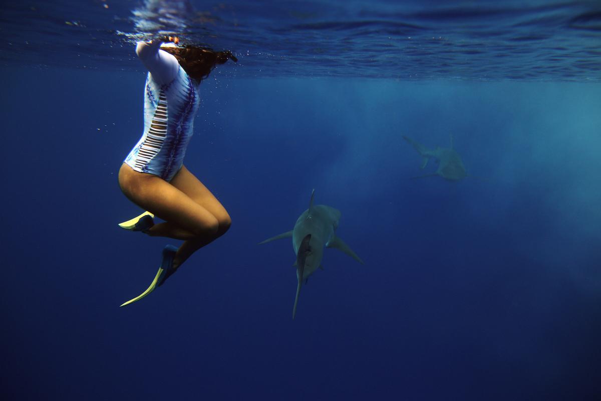 21 Thoughts I Had on my First Cage-Free Shark Dive - HAWAIʻI Magazine