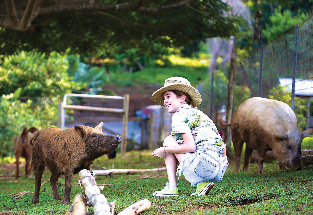 Top Places to Visit in Haiku on Maui's North Shore - HAWAIʻI Magazine