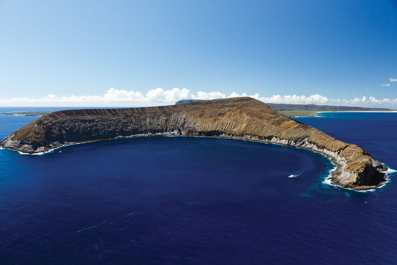 Lehua Island: The Stunning Snorkeling Spot You Never Knew About ...