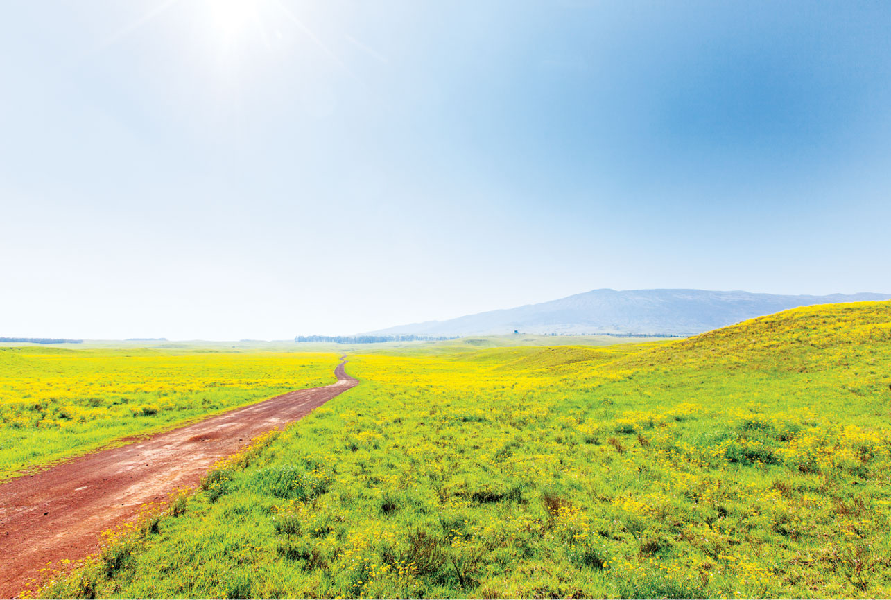 The brilliant beauty of Mauna Kea's little-traveled Mana Road - HAWAIʻI ...