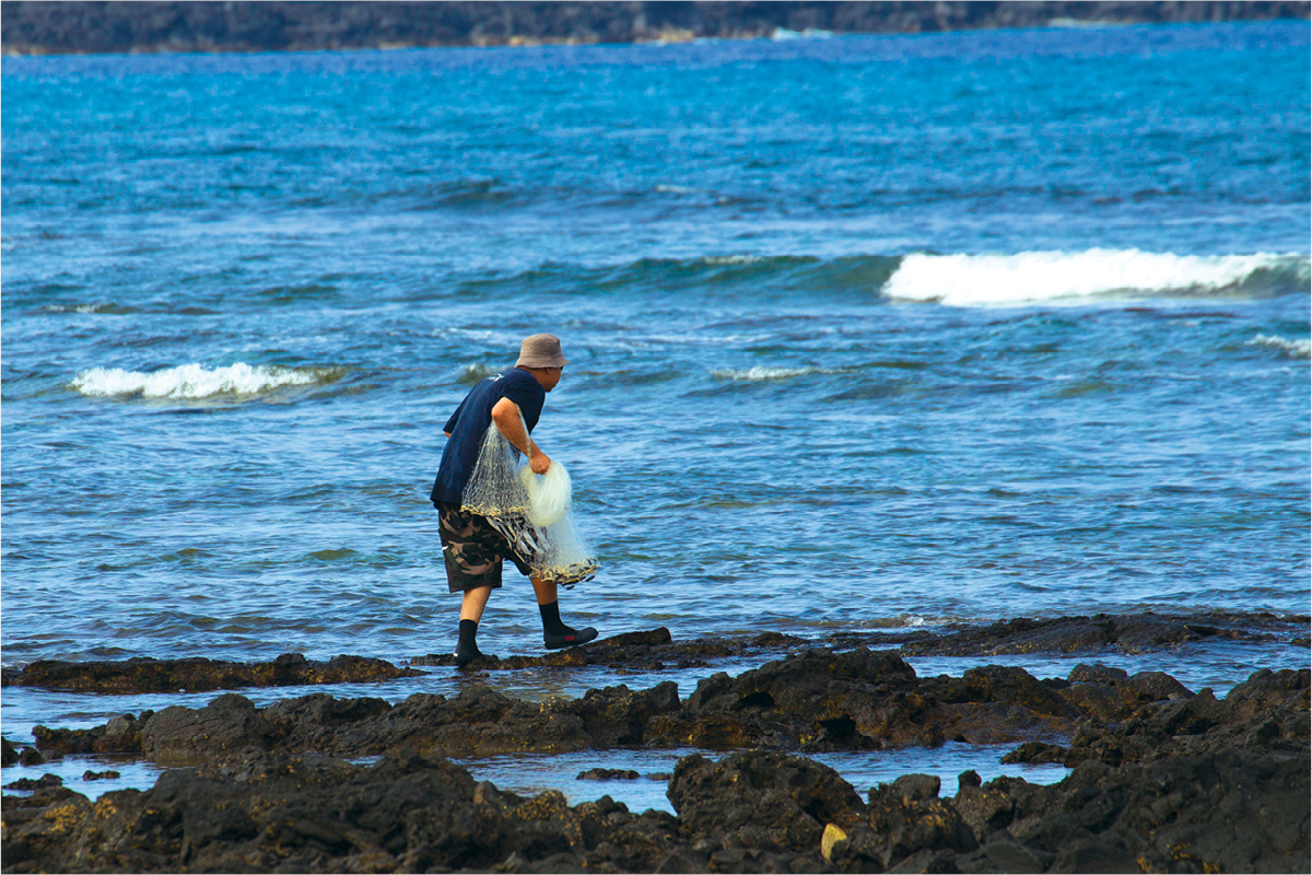 The Big Island's 5 National Parks - HAWAIʻI Magazine