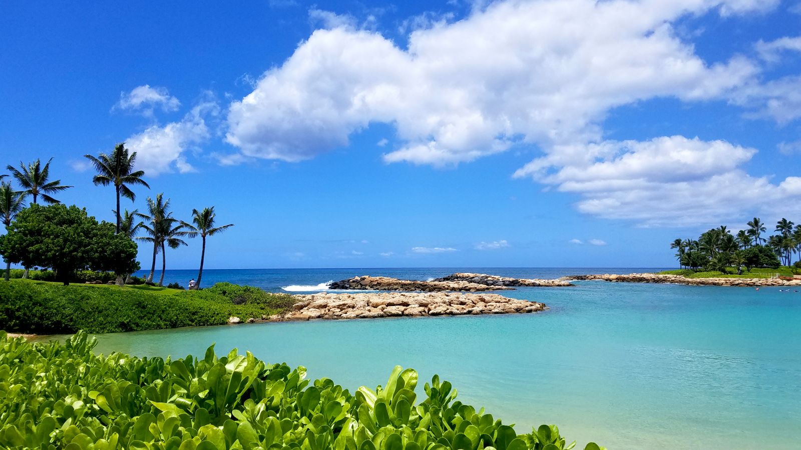 Your Family-Friendly Guide to West Oahu - HAWAIʻI Magazine