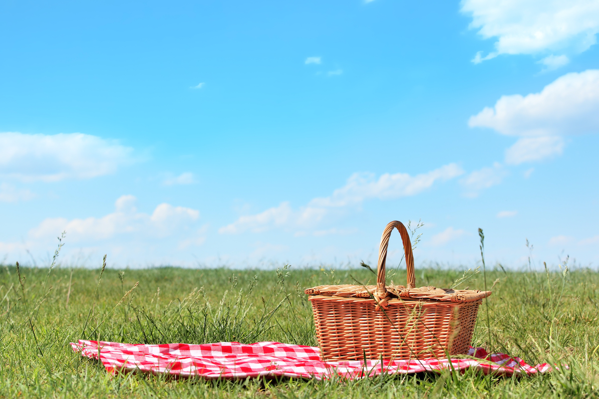 Aloha Friday Picks: How To Celebrate National Picnic Day in Hawaiʻi ...