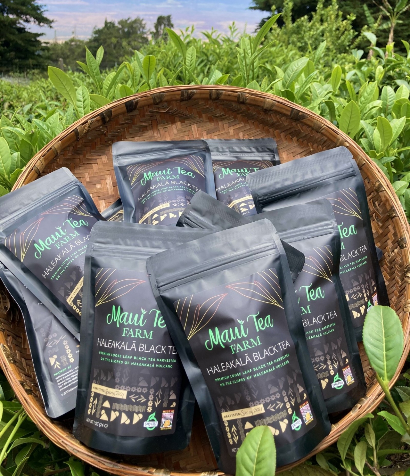 Sip and Stroll: Maui Tea Farm’s New Tours - HAWAIʻI Magazine