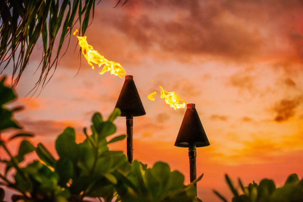 Your Lūʻau Cheat Sheet - HAWAIʻI Magazine