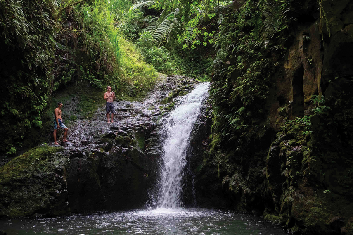 Escape to Maunawili Falls With This Little-Known Trail - HAWAIʻI Magazine