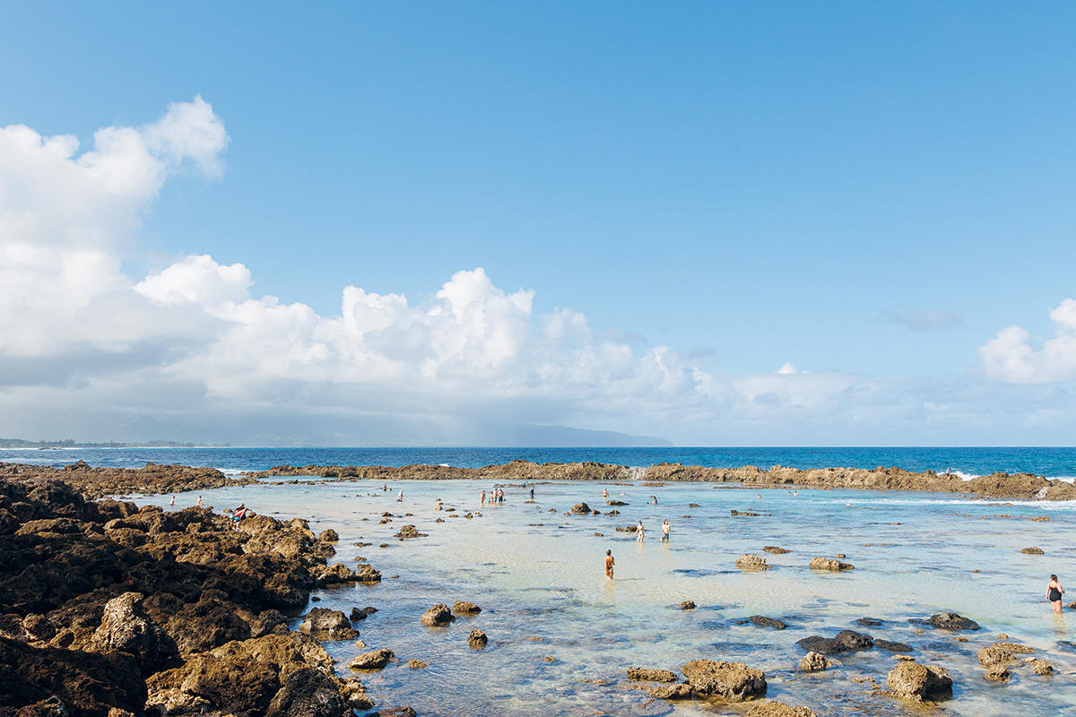 Everything You Need to Know About Shark’s Cove, Oʻahu - HAWAIʻI Magazine