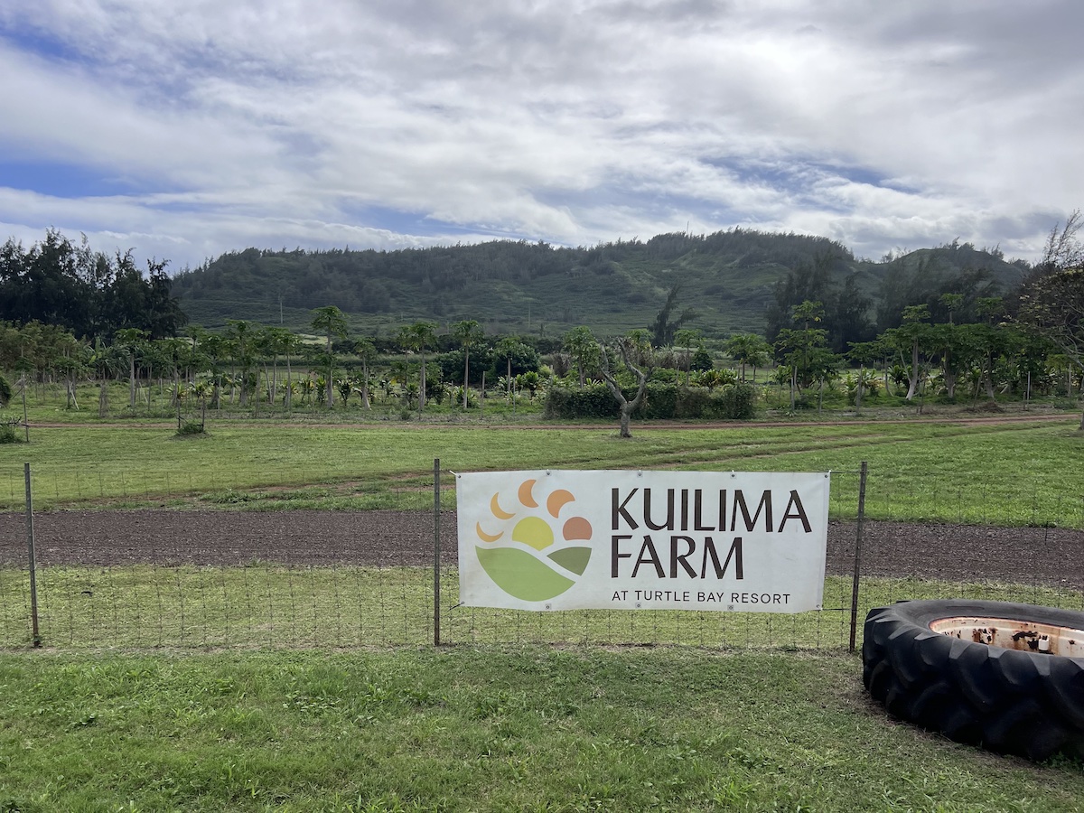 9 New Things To Do on Oʻahu's North Shore - HAWAIʻI Magazine