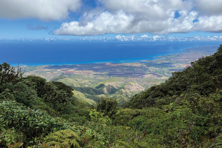 We Hiked the Tallest Peak on Oʻahu - HAWAIʻI Magazine