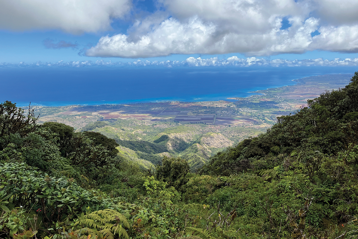We Hiked the Tallest Peak on Oʻahu - HAWAIʻI Magazine