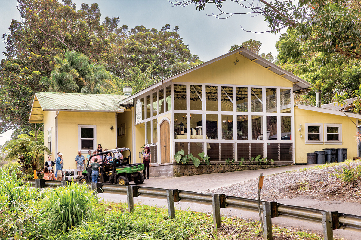 Take a Tour and Enjoy Lunch at a Vanilla Vineyard on Hawaiʻi Island ...