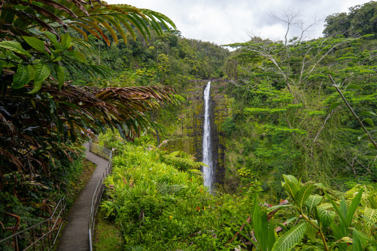Hele on the Hāmākua Coast - HAWAIʻI Magazine