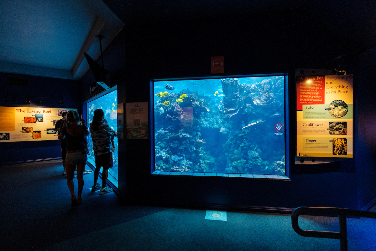 2025 Readers Choice Awards: Maui - HAWAIʻI Magazine