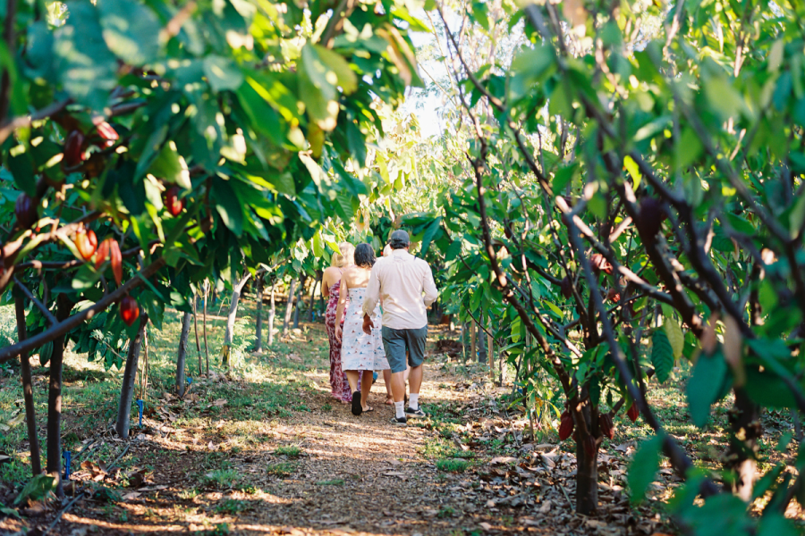 The Best Farm Tours on Maui in 2025 - HAWAIʻI Magazine