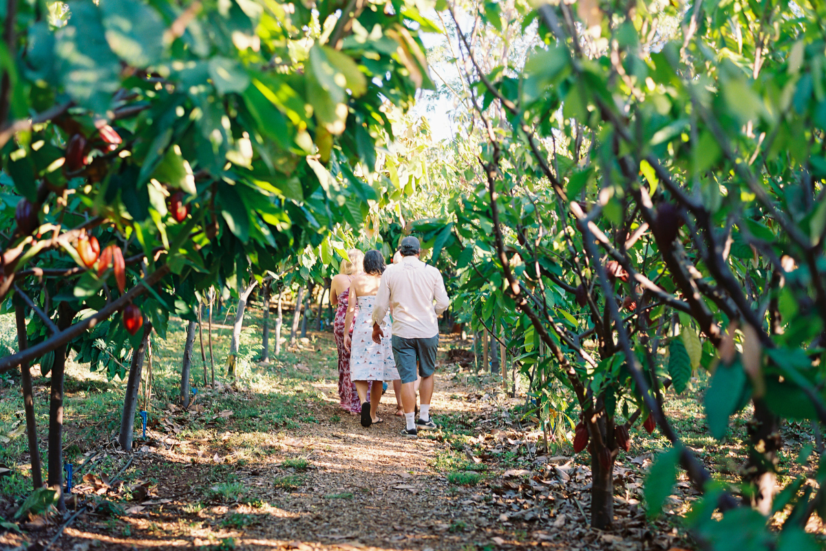 The Best Farm Tours on Maui in 2025 - HAWAIʻI Magazine